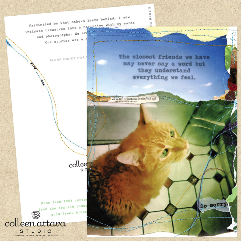 Cat Sympathy | Cards from Colleen Attara Studio