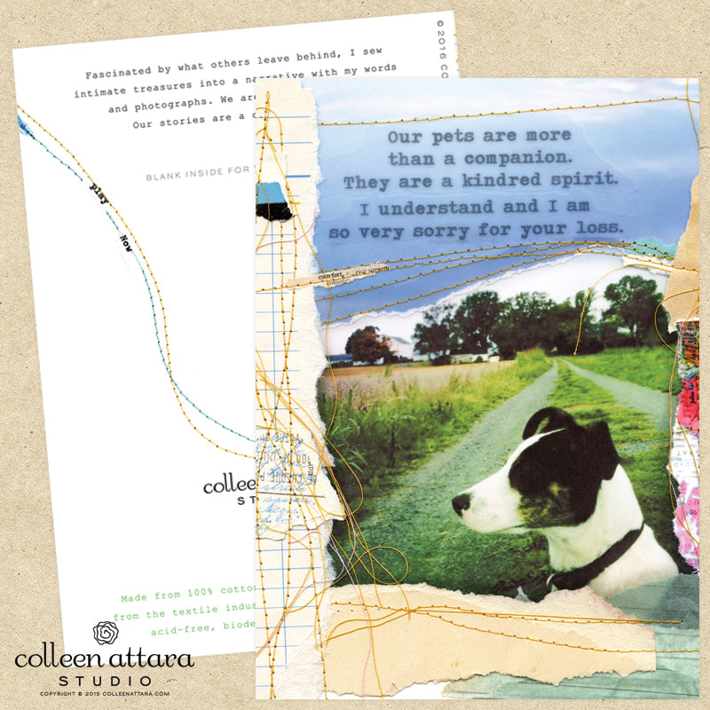 Dog Sympathy | Cards from Colleen Attara Studio