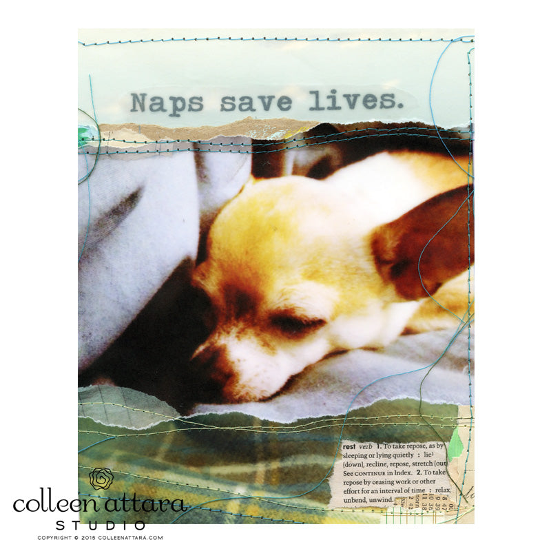 Naps | Cards & Prints from Colleen Attara Studio